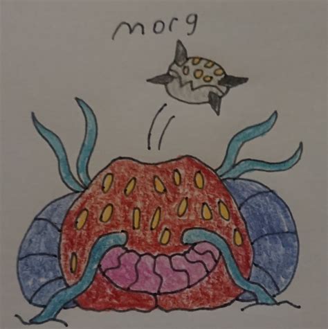 Morg By Vertell On Deviantart