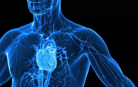 Hfmref Symptoms Causes And Treatment