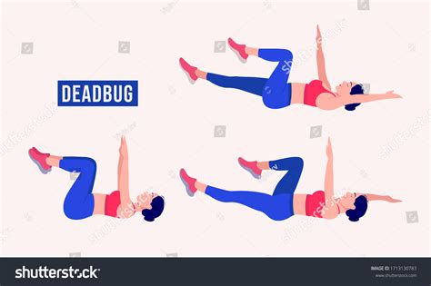 Girl Doing Dead Bug Exercise Set Stock Vector Royalty Free 1713130783 Shutterstock