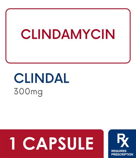 Clindal 300mg Capsule Rose Pharmacy Medicine Delivery