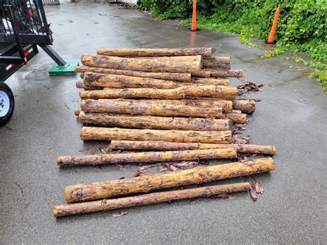 Logdetection Instance Segmentation Model By Moho