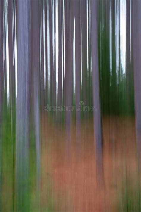 Abstract Blur Of Trees And Forest Vertical Motion Effect Through