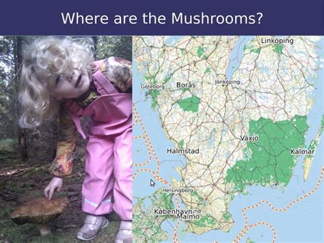 Geoprocessing With Neo4j Spatial And Osm Ppt