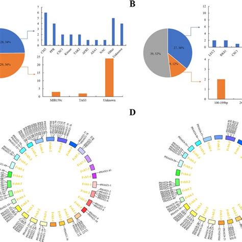 Classification Of Identified Phas Loci A The 21 Nt Phas Loci Were
