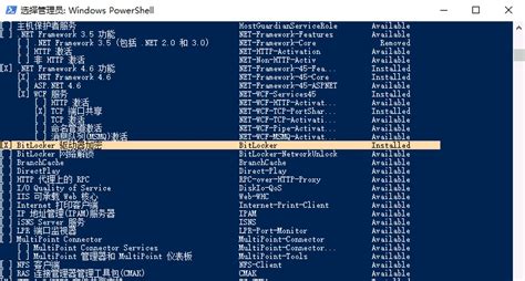 Windows使用bitlocker加密磁盘 光环有云