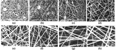 Sem Images Magnification ×5000 Scale Bar 1 Mm Of Asspun