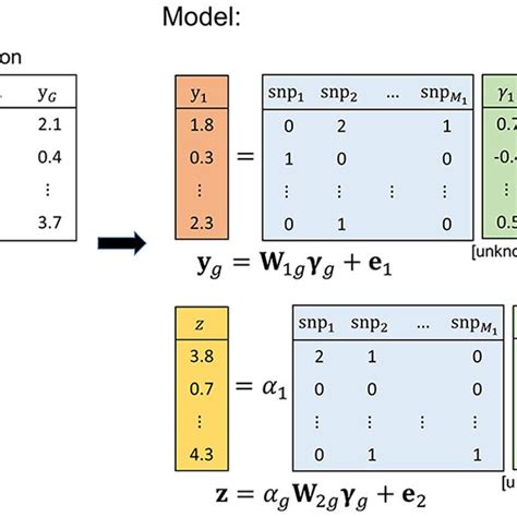 Schematic Of Comm The Transcriptome And Gwas Data Sets Are Used To Fit