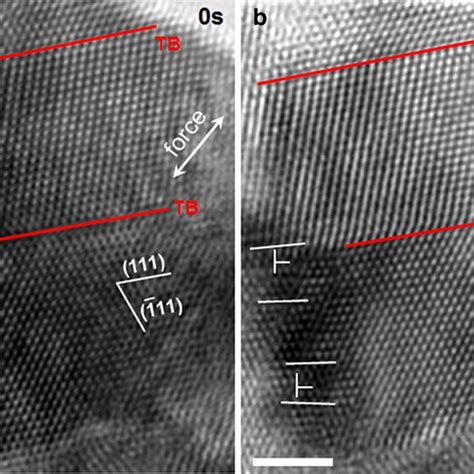 In Situ Observation Of Full Dislocation Nucleation In A Grain That