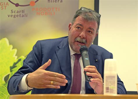 Rigotti Continuare A Lavorare Con La Massima Coesione Contro La Demonizzazione Del Vino