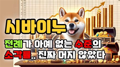 시바이누 전례가 아예 없는 수준의 소각률 진짜 머지 않았다 Youtube