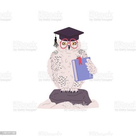 안경을 쓴 올빼미와 졸업 모자를 쓰고 책을 들고 돌 플랫 스타일에 앉아 있다 감정에 대한 스톡 벡터 아트 및 기타 이미지 감정 고리 발톱 깃털 Istock