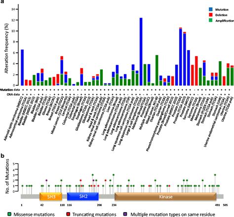 Cancer Associated Genomic And Transcriptomic Aberrations In Frk Download Scientific Diagram