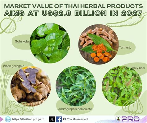 Market Value Of Thai Herbal Products Aims At 100 Billion Baht In 2027