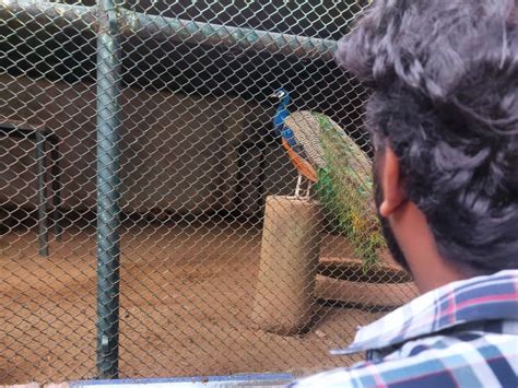 about srikanth medium