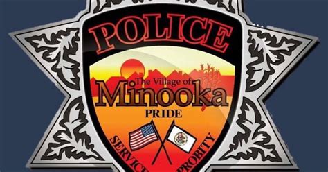 Juvenile And Adult Arrested By Minooka Police Local News