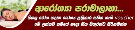දැරිය හැකි මිල නිවාස ව්‍යාපෘතිය මගින් ජනතාවට බිලියන 4 4 ක ප්‍රතිලාභ Auslanka Tv Australian