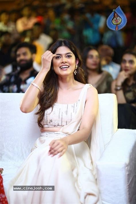 Ori Devuda Movie Pre Release Event Photo 20 Of 33