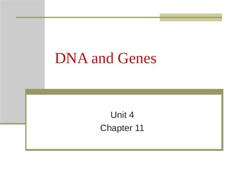 PPT DNA And Genes Unit Chapter DNA Structure DNA Controls Cellular Activity Because It