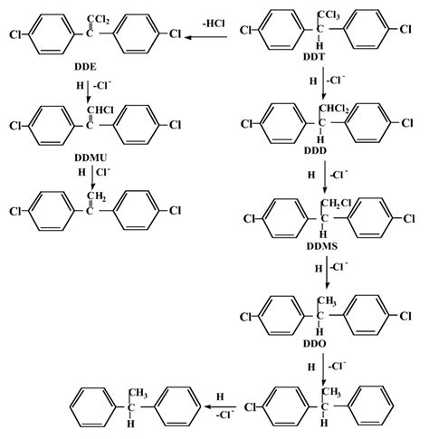 Reduction Pathways Of Ddt Download Scientific Diagram