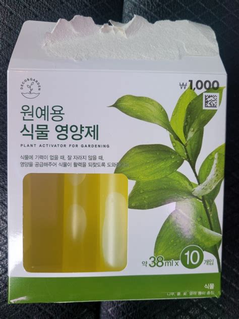 다이소 원예용품 죽기전 식물도 살릴 수 있는 다이소 식물 영양제 봄맞이 꿀템 및 금전수 키우는 방법 네이버 블로그