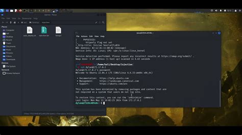 Writeup Maquina Injection De Dockerlabs Elpinguinodemario Paso A Paso