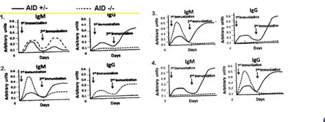 Previous Year Questions Pyq 2018 June Csir Net Life Sciences Triyambak Life Sciences