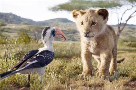 The Live Action Lion King Is Now On Disney Plus