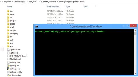 Different Ways To Use Sqlmap