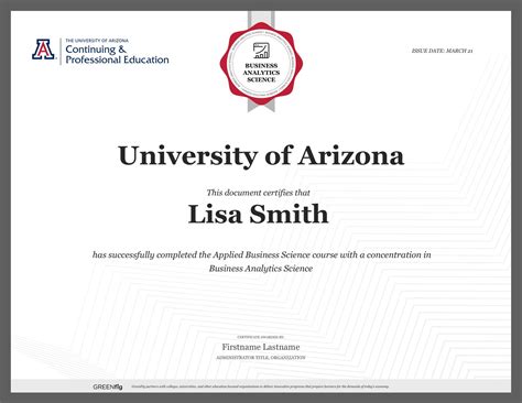 Business Analytics Certificate Course University Of Arizona
