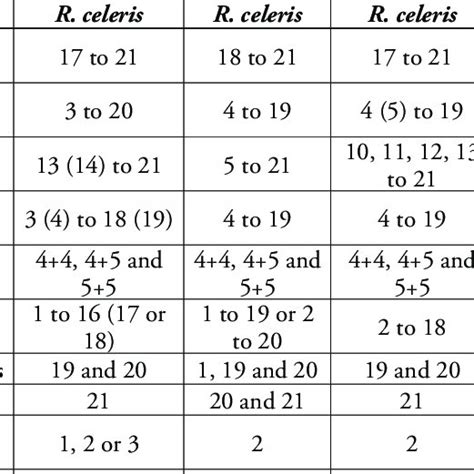 Characters Of Rhysida Celeris Showing The Geographical Variation Download Table