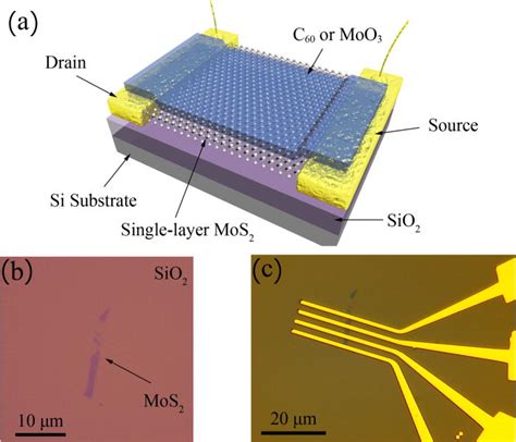 Modulating Electronic Transport Properties Of Mos2 Field Effect Transistor By Surface Overlayers
