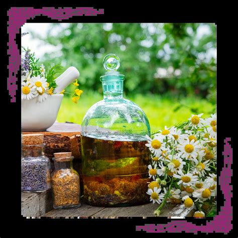 Naturopathy Atmabhan Spirituality Ancient Wisdom Holistic Wellness