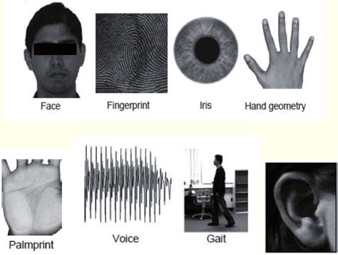 Examples Of Body Traits That Can Be Used For Biometric Recognition