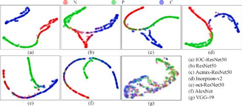 T Sne Visualization Of The Dataset Tvsl200 Features By Different