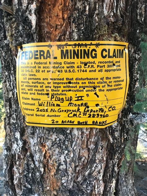 How To Get Started Gold Panning And Prospecting — Treeline Review