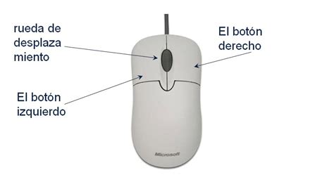 Tecno Clases Funciones Y Partes De Ratón O Mouse