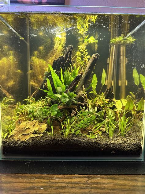 Nano Cube Rescape Rplantedtank