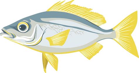 Lovely Cute Simple Snapper Clipart 52237997 Vector Art At Vecteezy