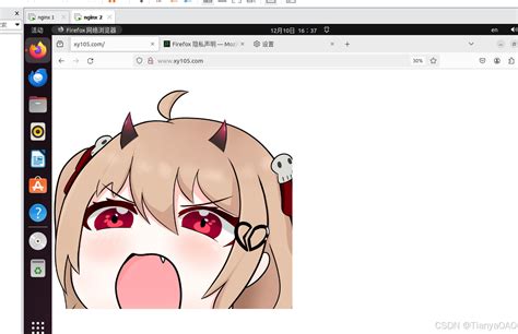 nginx优化 nginx 隐藏版本号 csdn博客