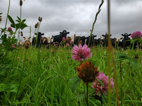 David Cope On Linkedin Farm24 Climateaction Netzero Farming