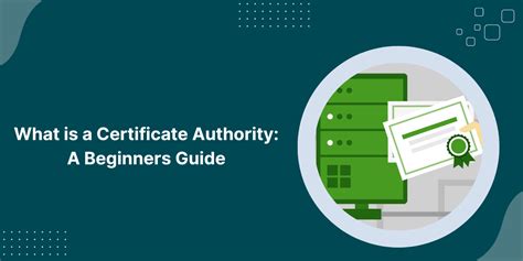 What Is Ca Certificate Authorities Explained