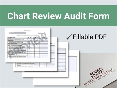 Chart Review Audit Form Well Resourced Dietitian