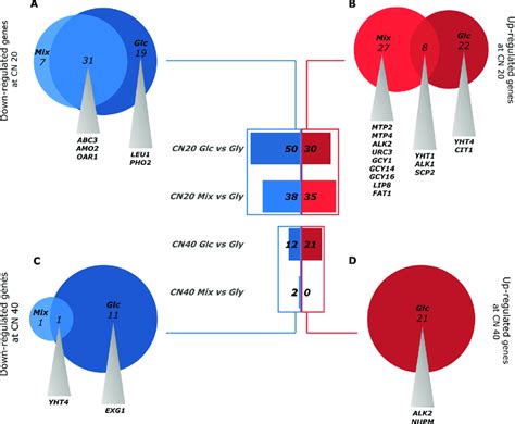 Up And Downregulated Genes At Cn 20 And Cn 40 And Number Of Download Scientific Diagram