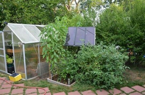 Solar Aquaponic Greenhouse Aquaponics Aquaponic Gardening Greenhouse