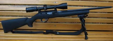 Sexy SuperStock Complete Rimfire Central Firearm Forum