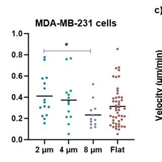 A An Example Of Cell Tracking Analysis For Cells Grown On Um Wide Download Scientific