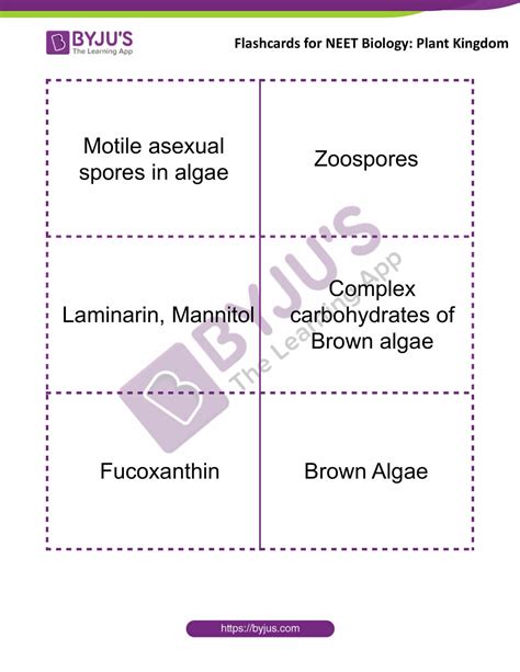 Plant Kingdom Flashcards For NEET Biology