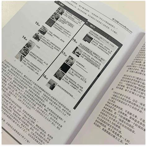 路飞学城 帮助有志向的年轻人通过努力学习获得体面工作
