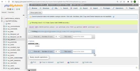 how to clean and optimize your wp options table and autoloaded data