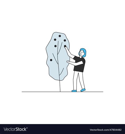 Girl Is Plucking Fruits From The Tree Royalty Free Vector